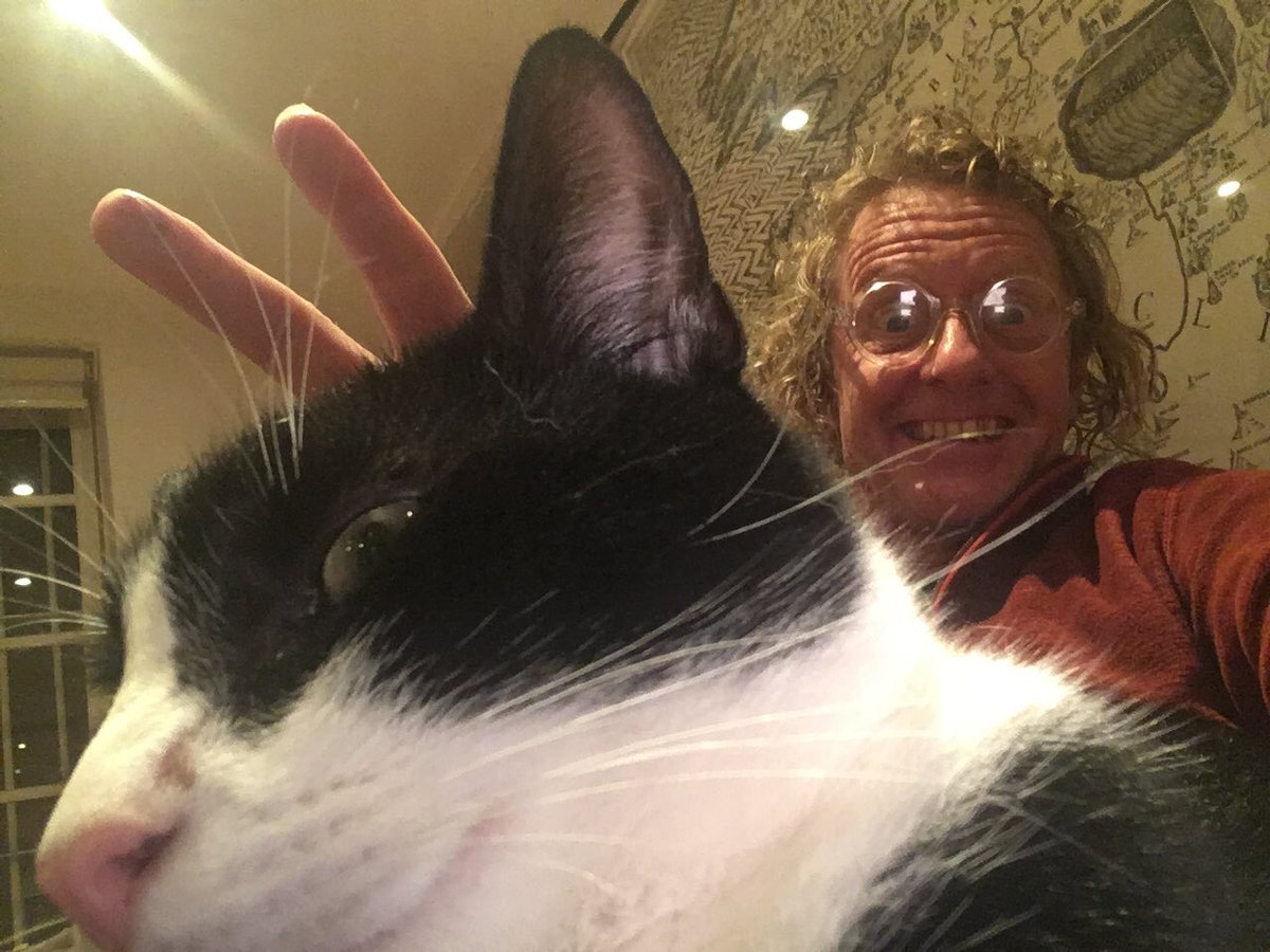 Careless whisker: Grayson Perry’s lost cat comes home - Apollo Magazine