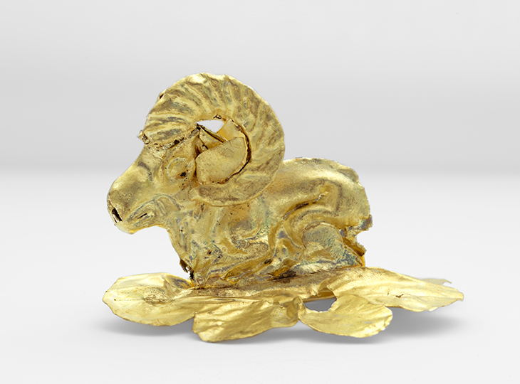 Showing their metal – the glorious gold of the ancient Saka people ...