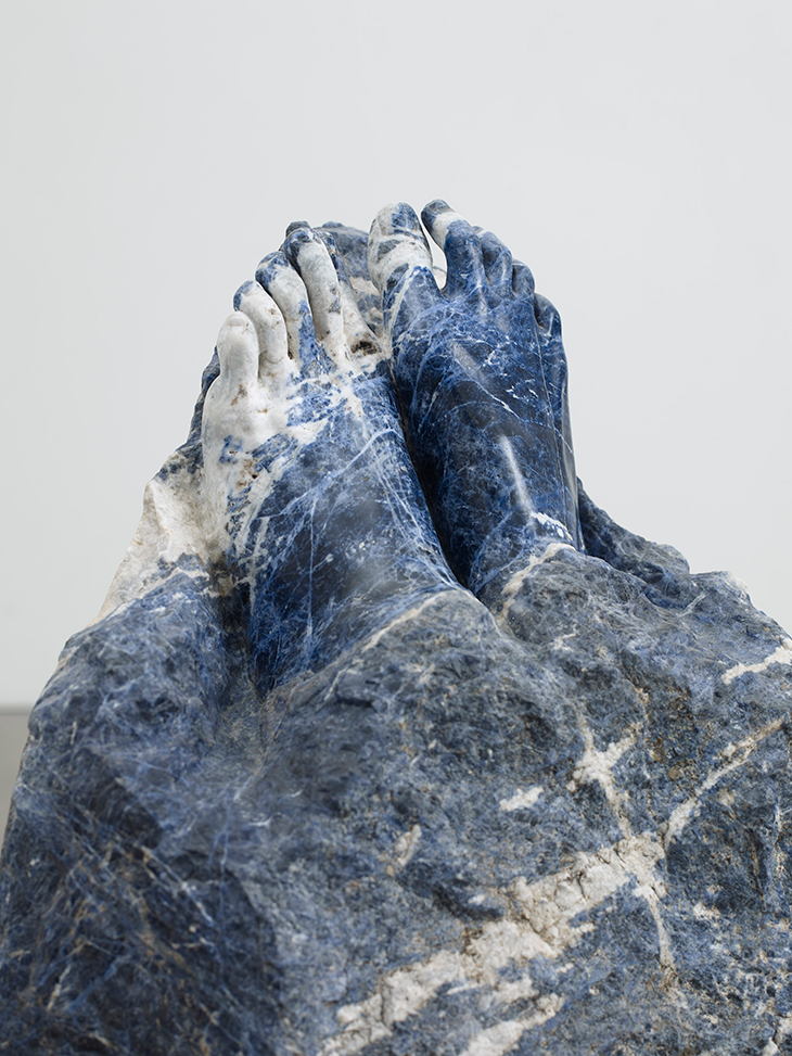 Pressing the flesh – an interview with Dorothy Cross - Apollo Magazine