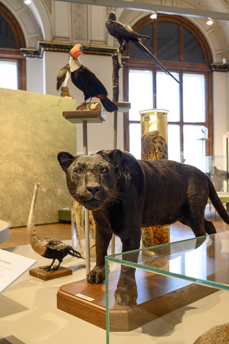 Why nostalgia is at the heart of Brazil’s bicentenary celebrations ...