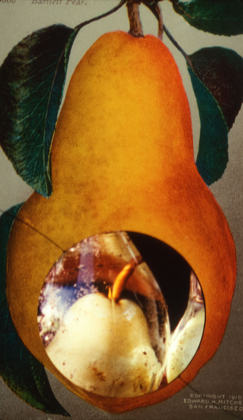 Tacita Dean - Apollo Magazine