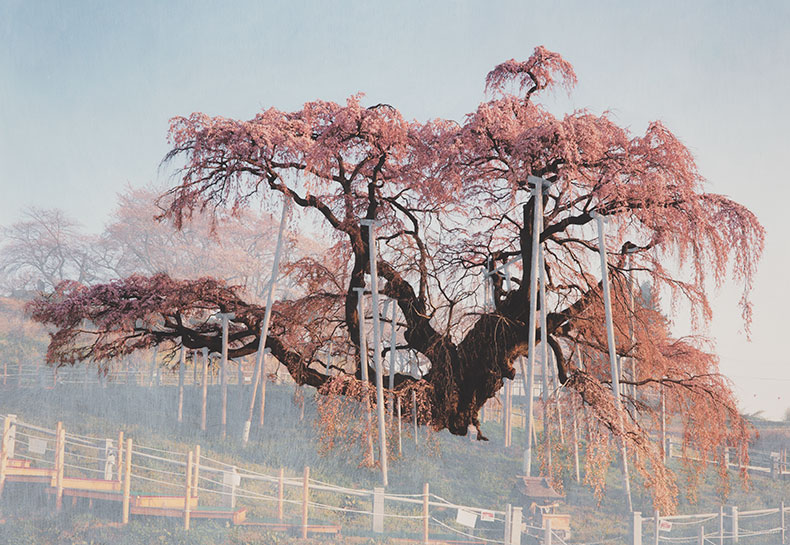 Tacita Dean - Apollo Magazine