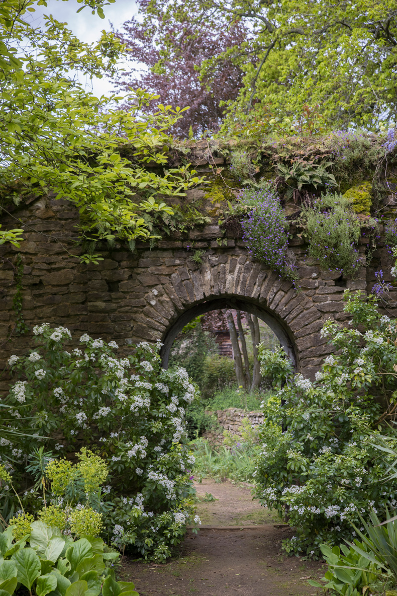 Gertrude Jekyll and the making of Munstead Wood - Apollo Magazine