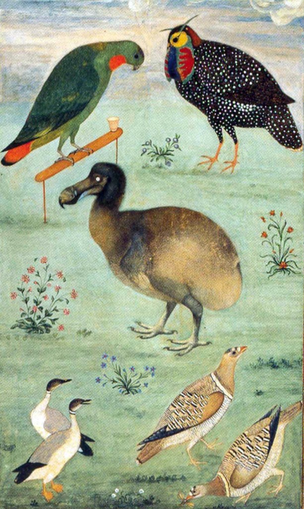 The artists who have come to the defence of the dodo - Apollo Magazine