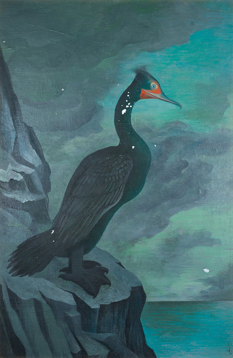 ‘This bird’s a doofus’ – the unlikely charms of a featherbrained friend ...