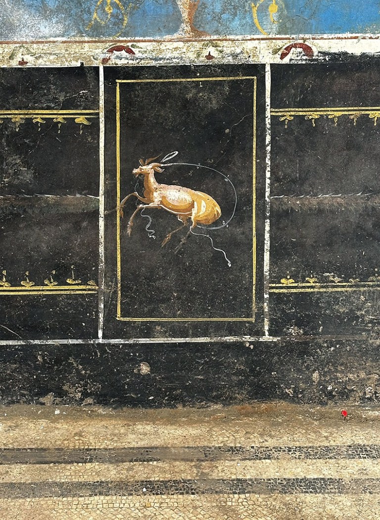 Bringing Pompeii back to life - Apollo Magazine