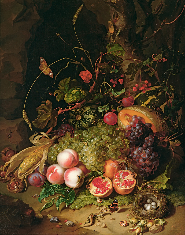 Rachel Ruysch: Nature Into Art - Apollo Magazine