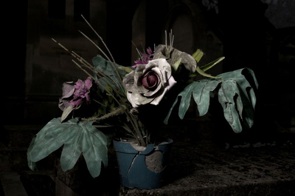 Evil Flowers - Apollo Magazine
