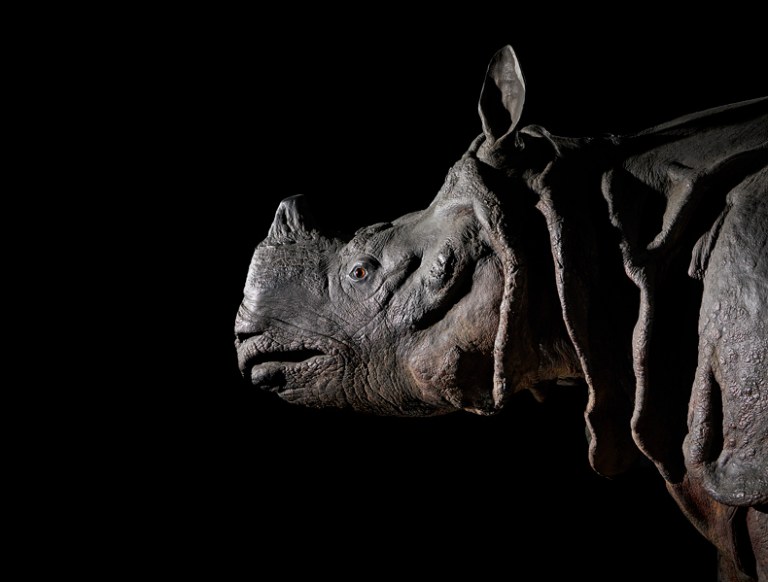 Tech bros of Versailles – ‘Science and Splendour’ at the Science Museum ...