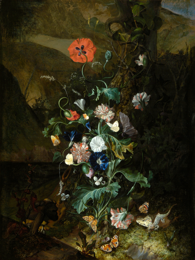 Rachel Ruysch: Artist, Naturalist, and Pioneer - Apollo Magazine